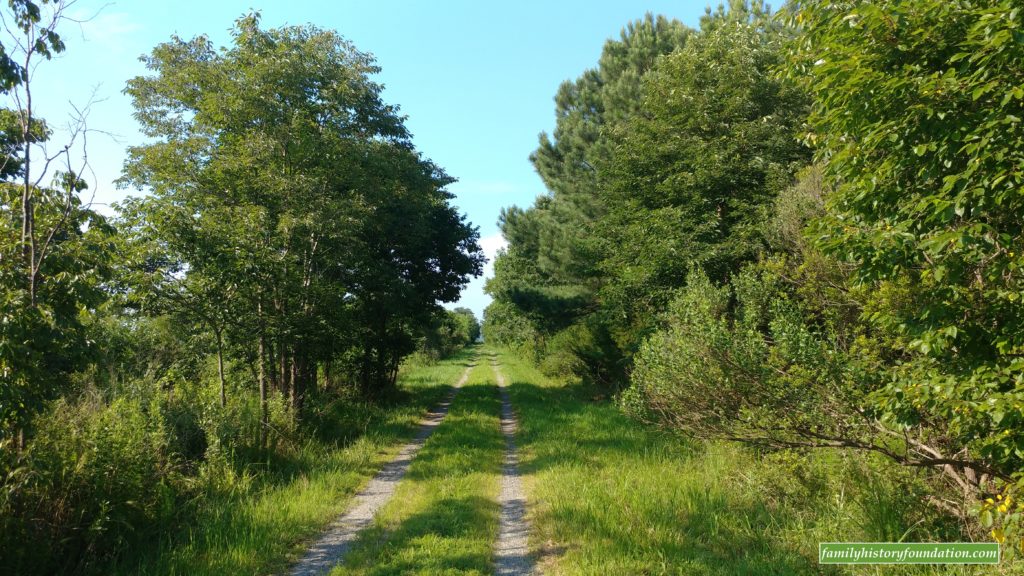 17 Photos of Historic Dameron Marsh in Virginia