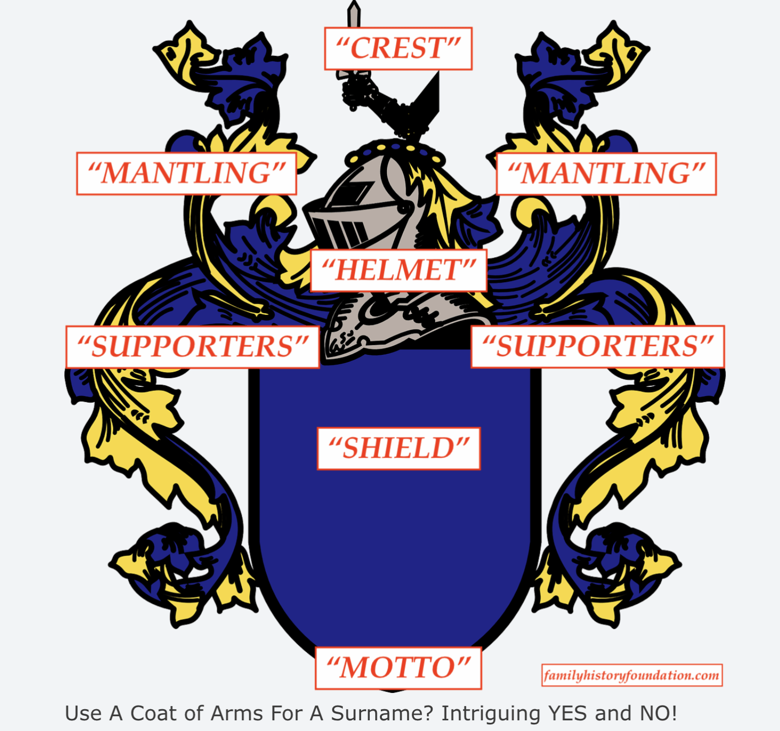 Heraldic Lion Positions [Illustrated List & Meanings]