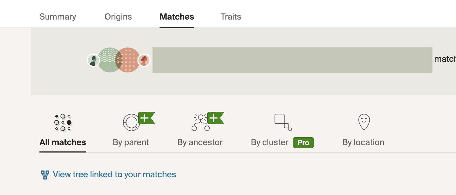 What to Do After Getting AncestryDNA Results: 8 Step-by-Step Guide to ...